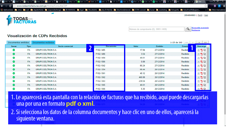 Consulta de Facturas Electrónica | Grupo Deltron